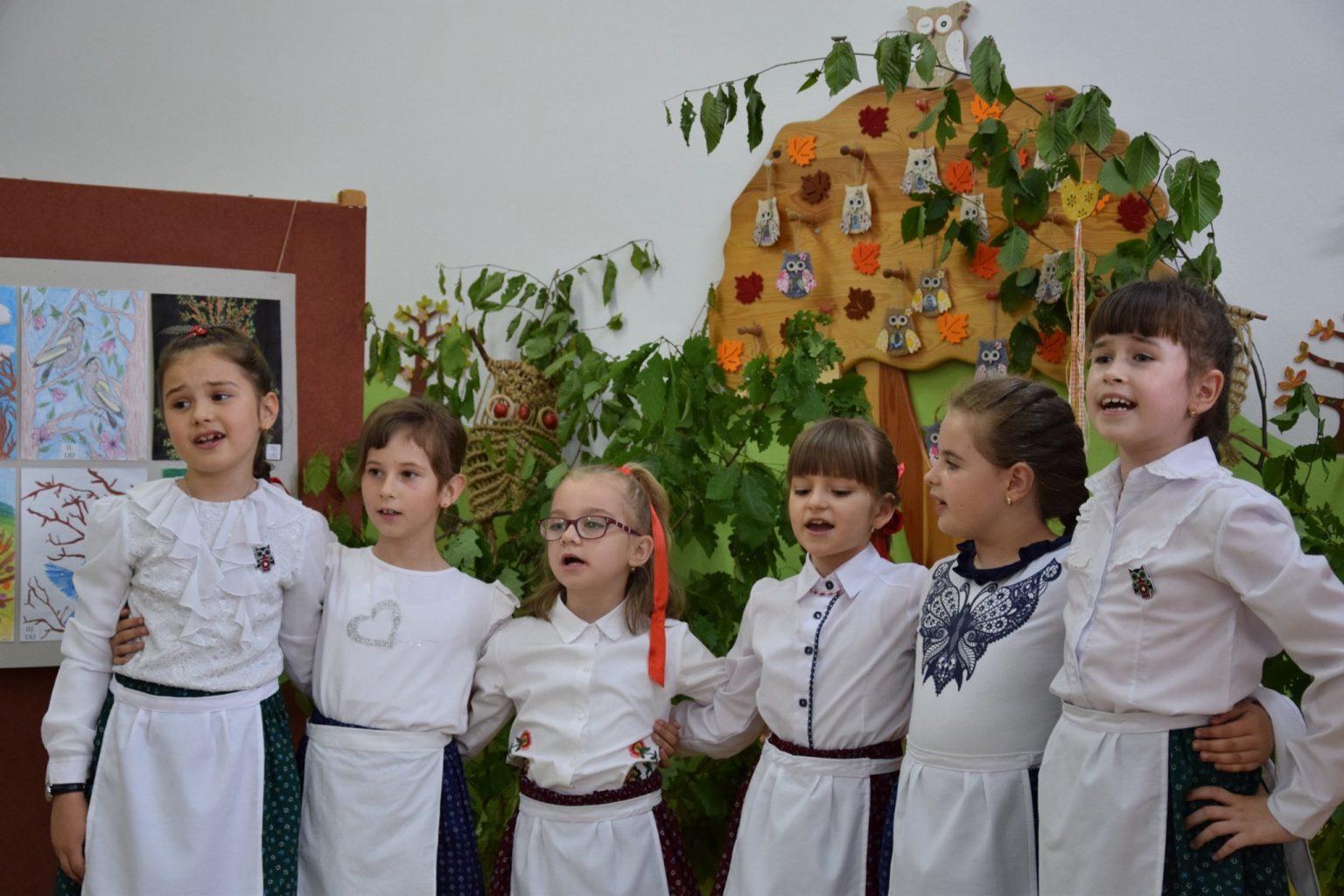 11 - Orașul Seini, județul Maramureș